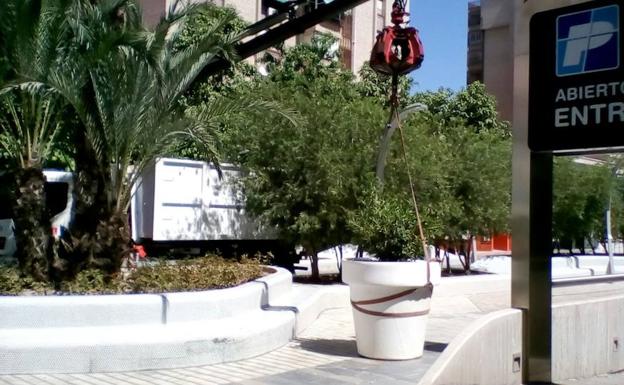 Instalan maceteros de gran tamaño en los puntos de acceso a las zonas ...