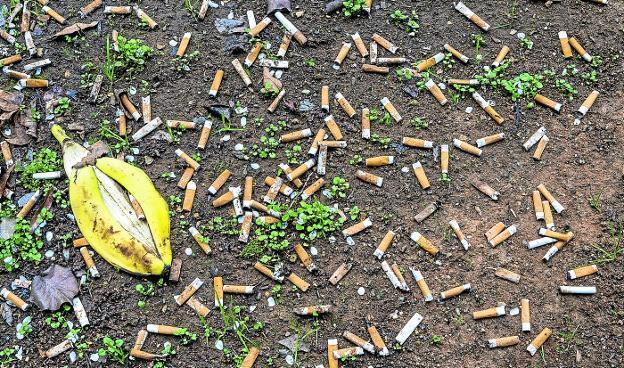 Fumar mata (el planeta) | La Verdad