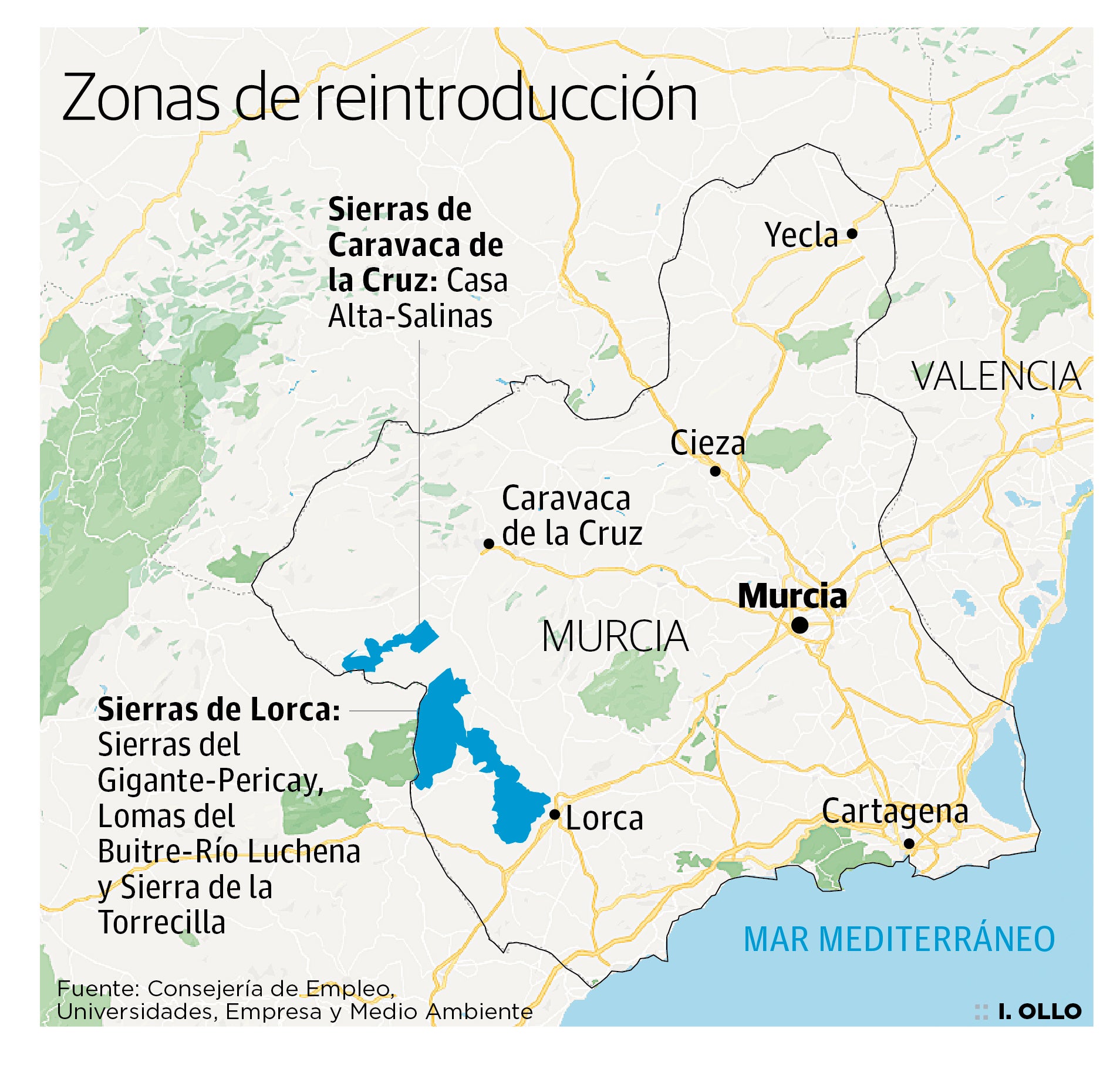 Zonas de reintroducción del lince en la Región de Murcia | La Verdad