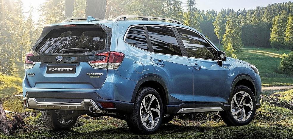 Subaru Forester, reliability put to the test - Today Times Live