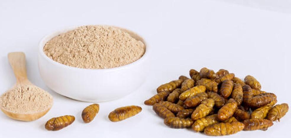 Estos son los nuevos insectos comestibles que podrás encontrar en el ...